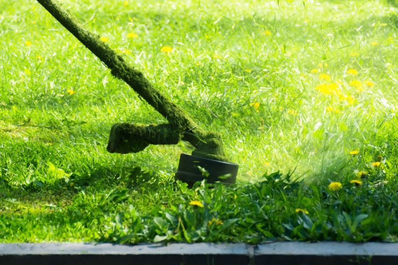 Stihl Brushcutters: Avoid Brushcutter Injuries with Our Safety Guide ...