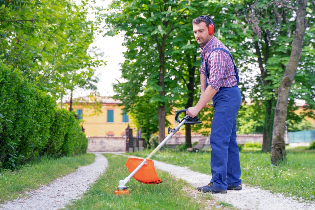 Brushcutters 101: How To Use A Brushcutter Like A Pro – Buy Cement ...